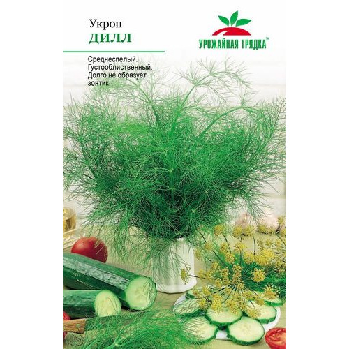 Семена Укроп Амбрелла 2,0 г купить в Москве по низкой цене - интернет ...