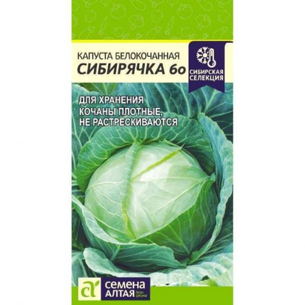 Семена Капуста Сибирячка 60 0,5гр ЦП купить в Москве по низкой цене ...