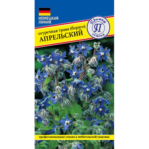 Семена Огуречная трава (Бораго) 0,5 гр, Престиж купить в Москве по ...