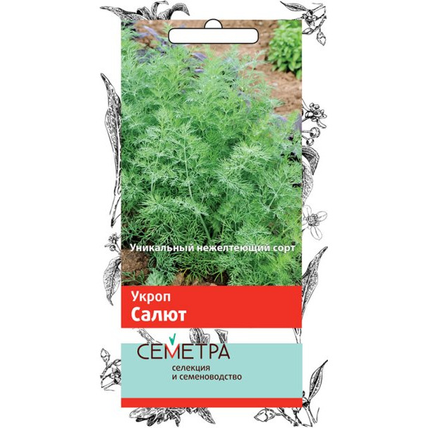 Семена Укроп Салют 3, Поиск купить в Москве по низкой цене - интернет ...