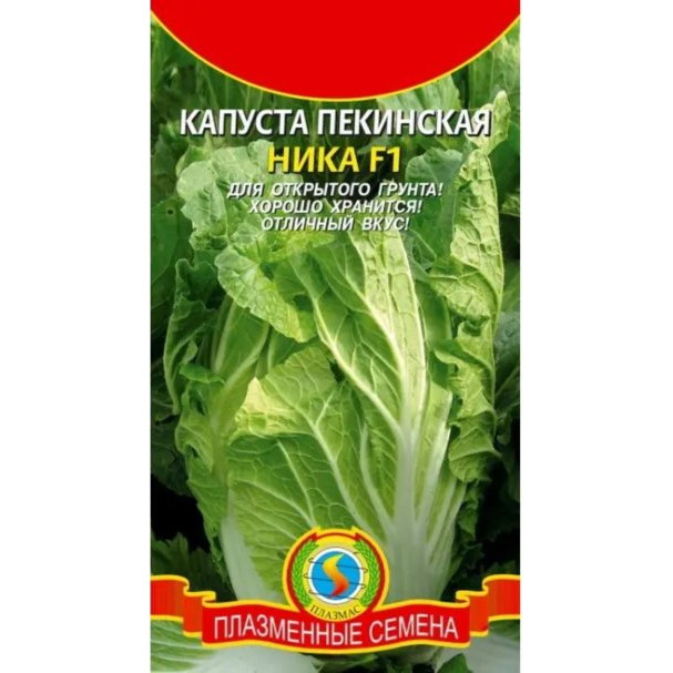 Семена Капуста пекинская Ника F1, 0,1 гр, Плазменные семена купить в ...
