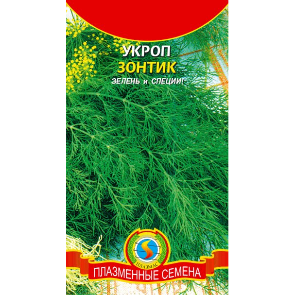 Семена Укроп Зонтик, 2 гр, Плазменные семена купить в Москве по низкой ...