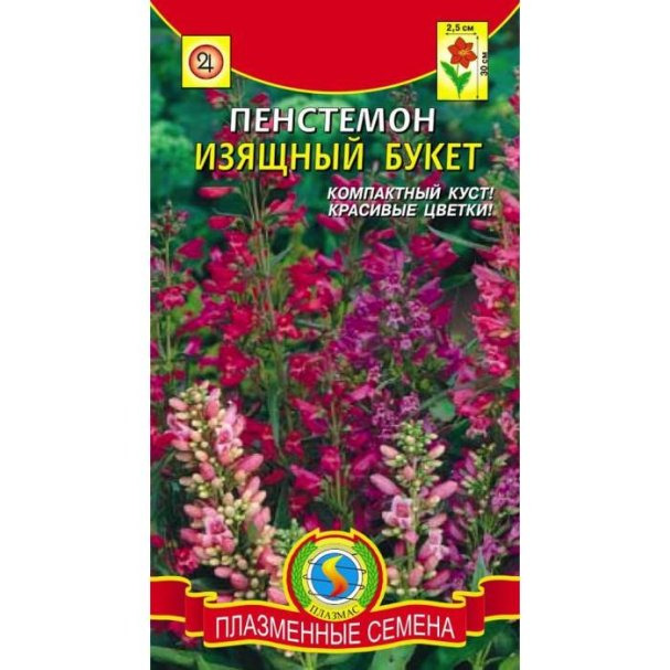 Семена Пенстемон Изящный букет, 0,1 гр, Плазменные семена купить в ...