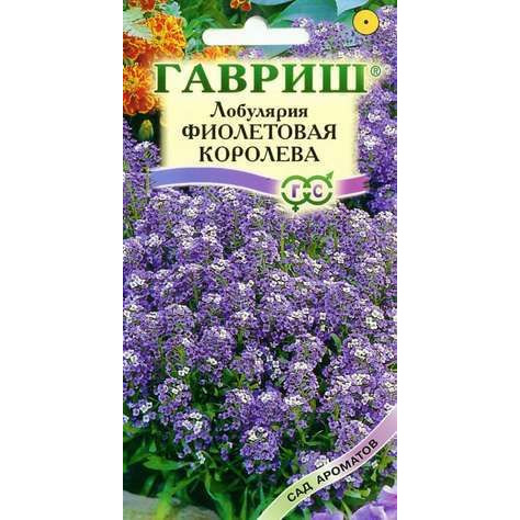 Семена Лобулярия Фиолетовая королева 0,2г купить в Москве по низкой ...