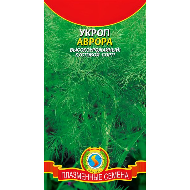 Семена Укроп Аврора 2г, Плазменные семена купить в Москве по низкой ...