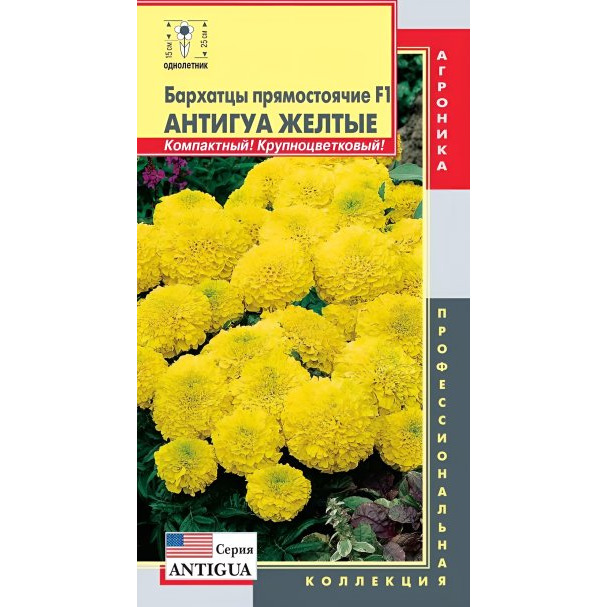 Семена Бархатцы прямостоячие F1 Антигуа Желтые 5шт, Плазменные семена ...