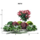 Цветник с гортензией на штамбе купить в Москве по низкой цене ...